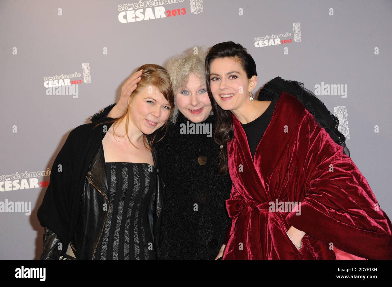 Yolande Moreau arriving at the 38th Annual Cesar film Awards ceremony held at the Theatre du ...