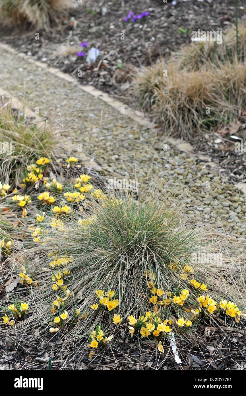 Gravel mulch hi-res stock photography and images - Alamy