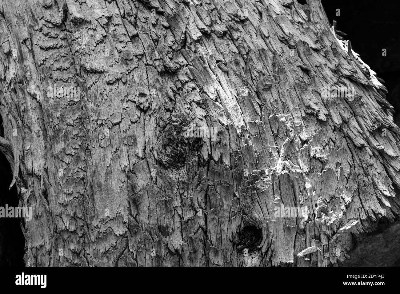 Splintering Wood High Resolution Stock Photography and Images - Alamy