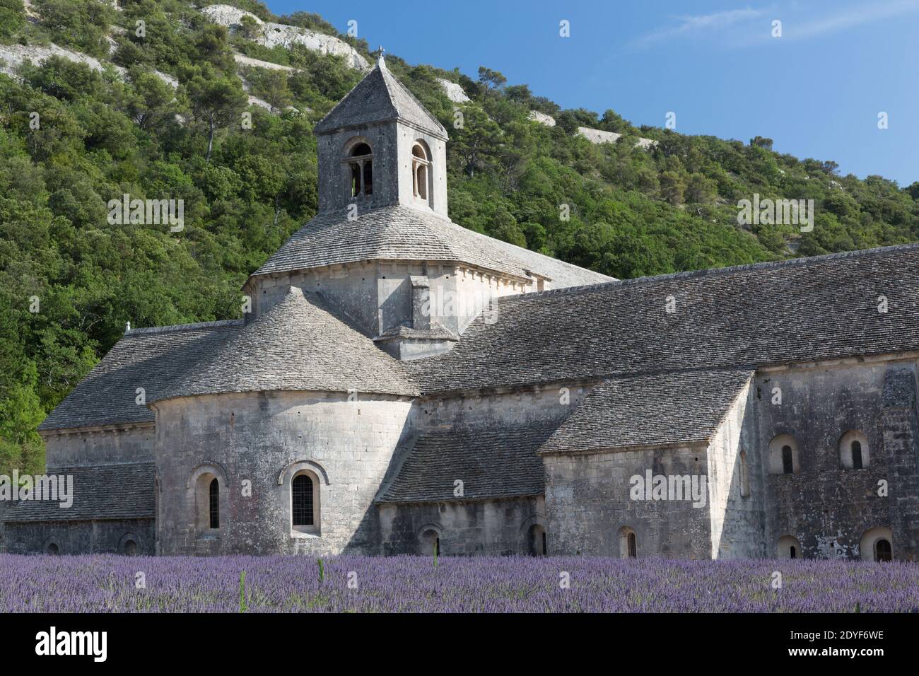 The romanesque cistercian abbey of notre dame of senanque hi-res stock ...