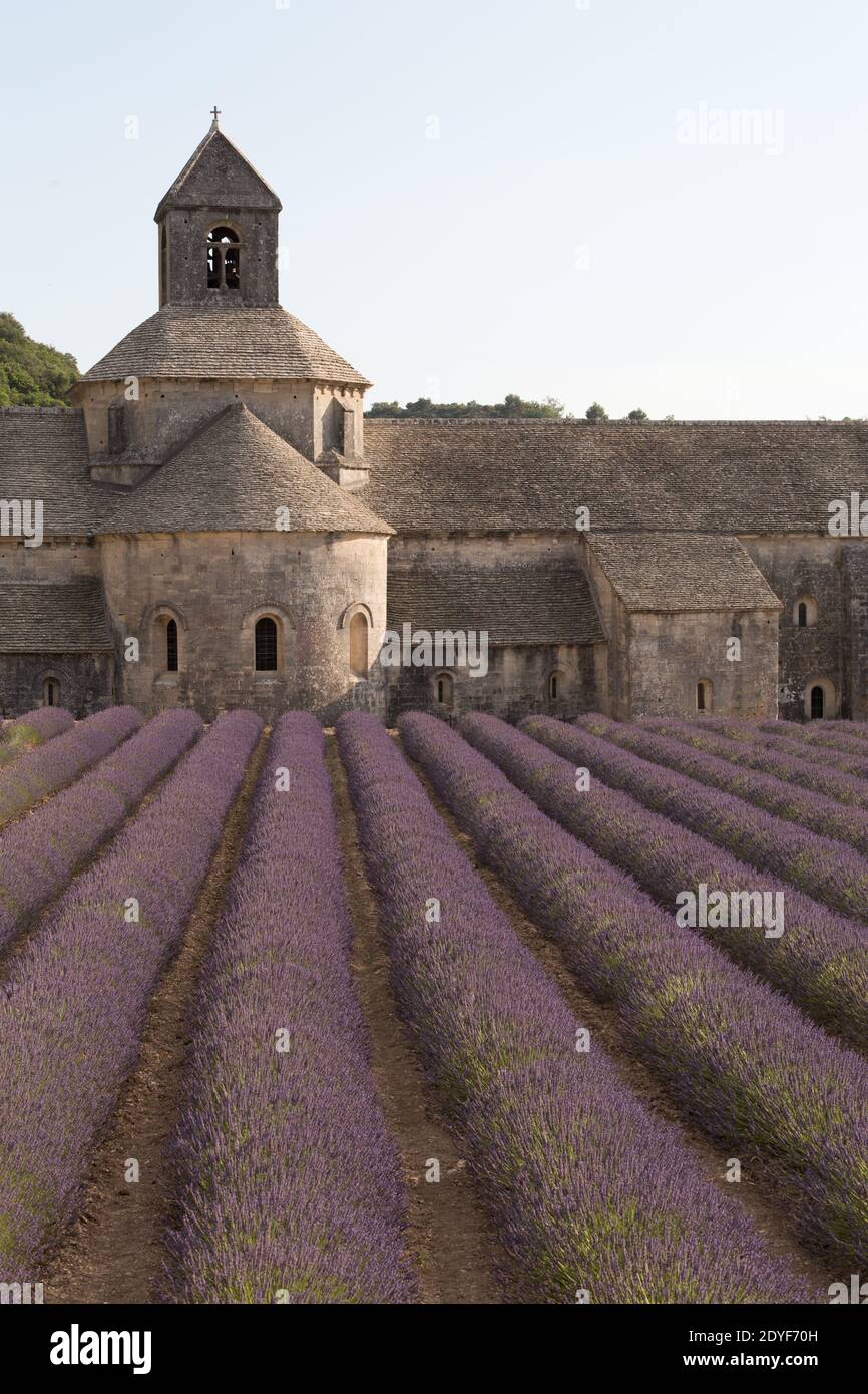The romanesque cistercian abbey of notre dame of senanque hi-res stock ...