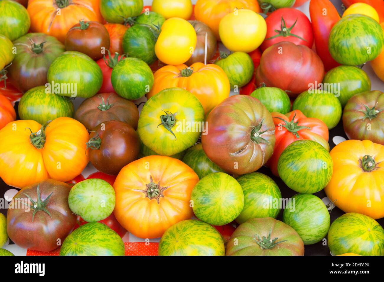 France Nice Heirloom Tomatoes in Outdoor Market Stock Photo - Alamy