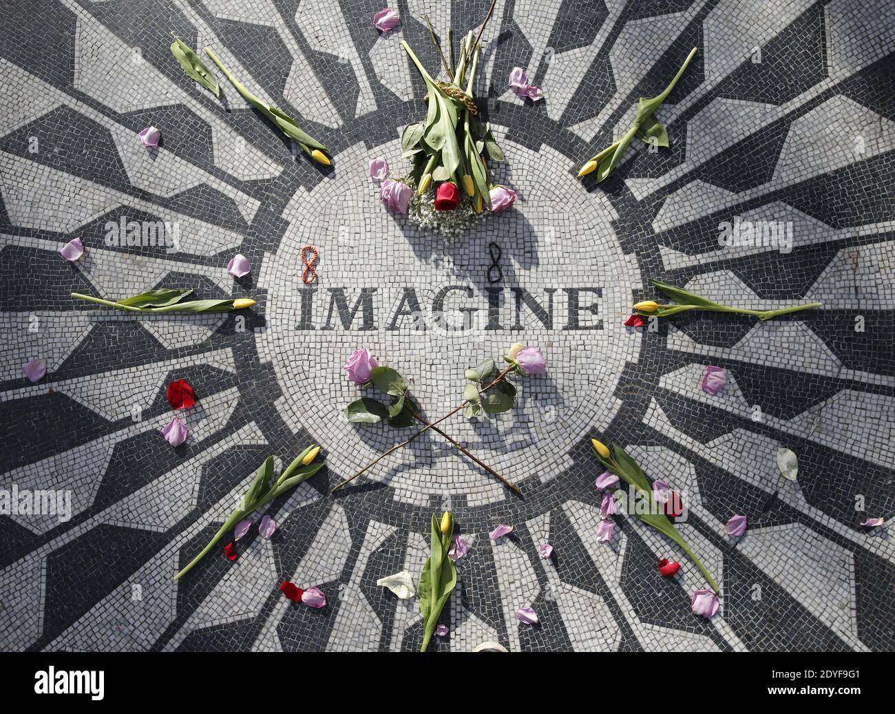 New York, United States. 25th Dec, 2020. Flowers and flower petals ...