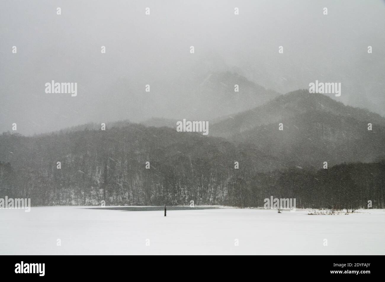 Kagami-ike pond in Nagano Prefecture of Japan. During winter, snow fall ...