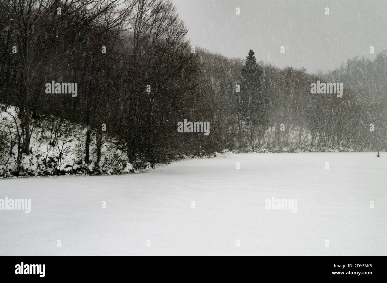 Kagami-ike pond in Nagano Prefecture of Japan. During winter, snow fall covered on the surface ...