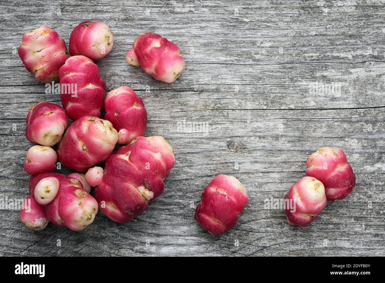 Oxalis tuberosa macro hi-res stock photography and images - Alamy