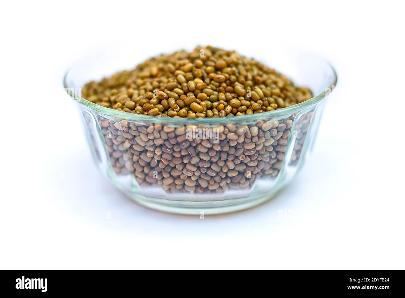 Moth beans or matki beans (Vigna aconitifolia), is a indian food. cup ...