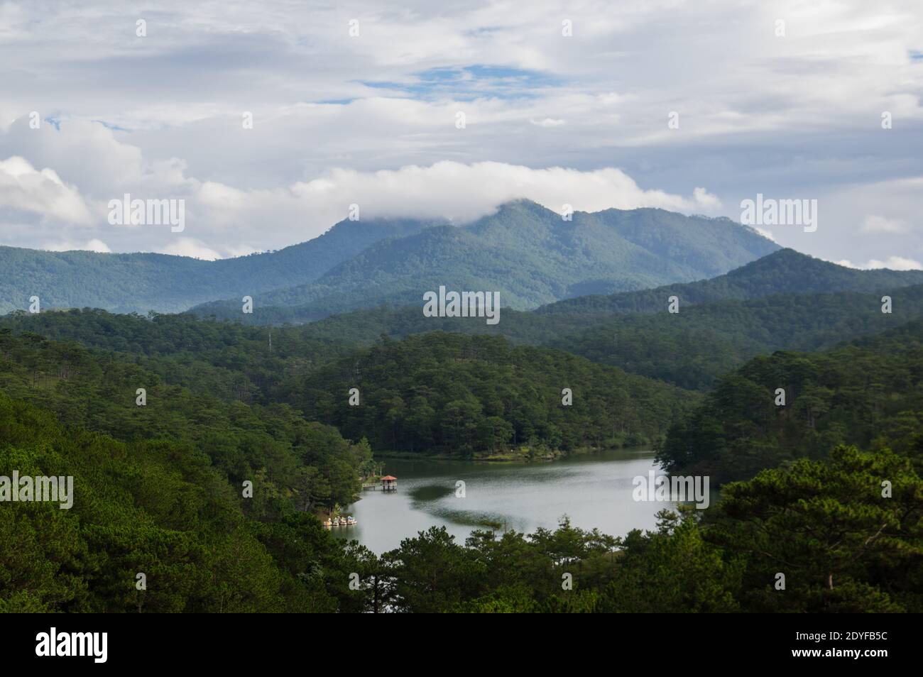 Dalat landscape hi-res stock photography and images - Alamy