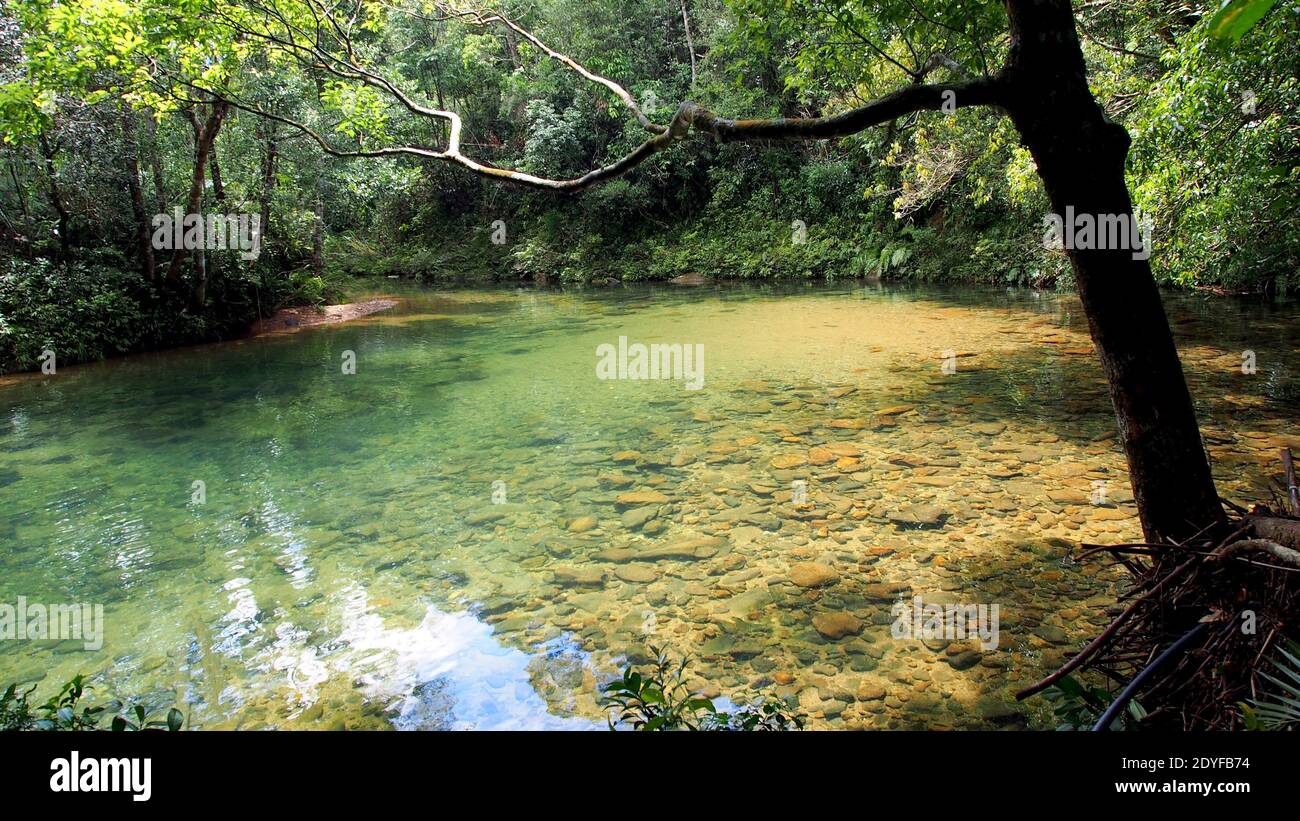 Bach Ma national park in Central Vietnam Stock Photo - Alamy