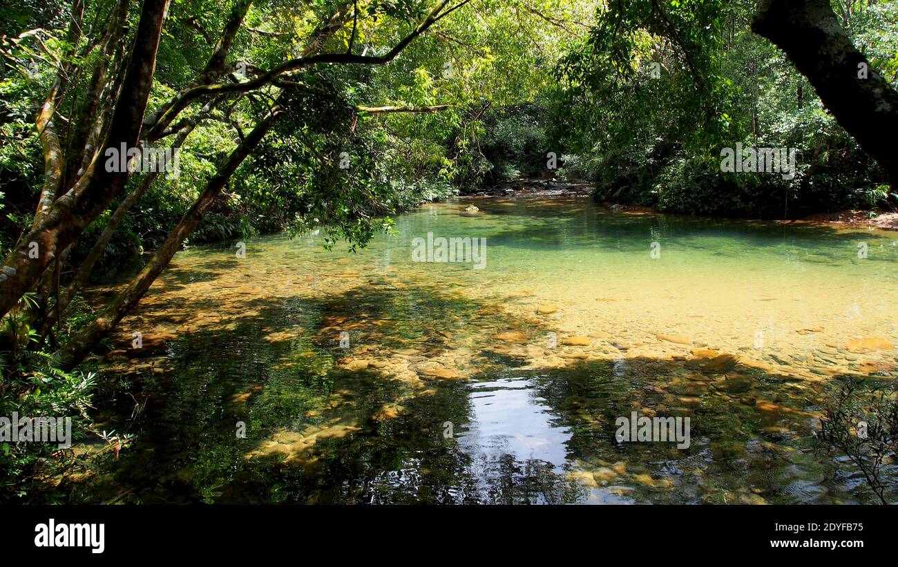 Bach Ma national park in Central Vietnam Stock Photo - Alamy