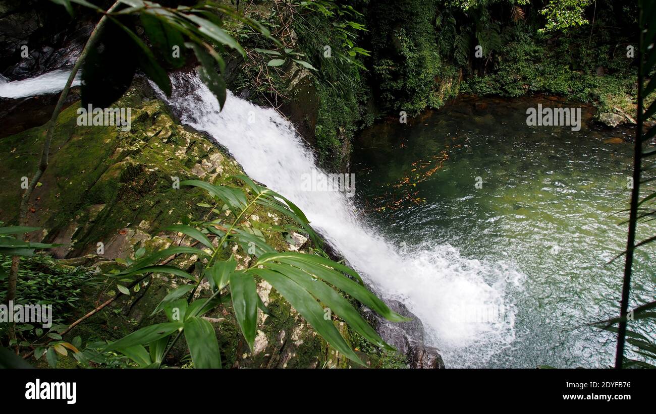 Bach Ma national park in Central Vietnam Stock Photo - Alamy
