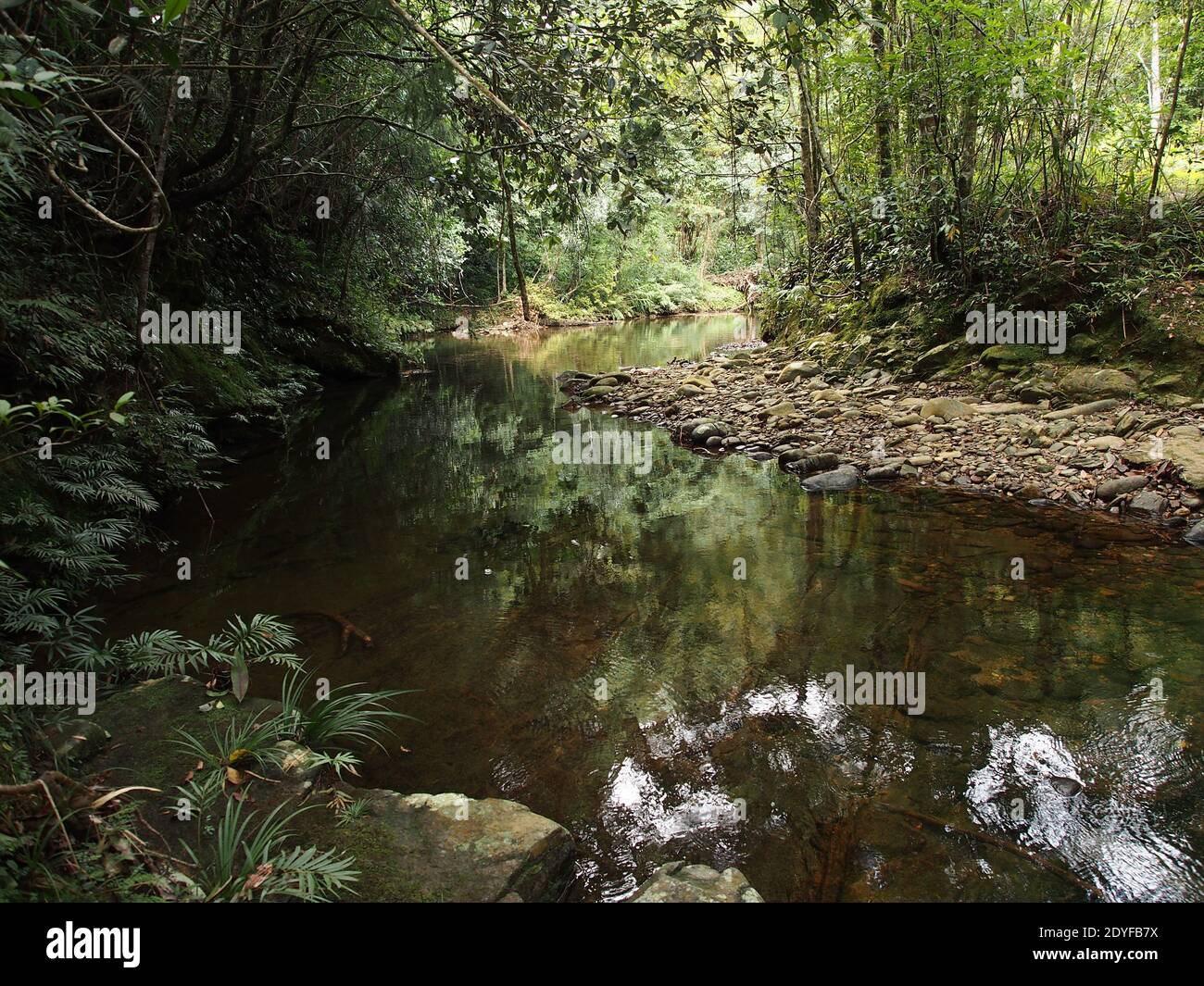 Bach ma national park hi-res stock photography and images - Alamy