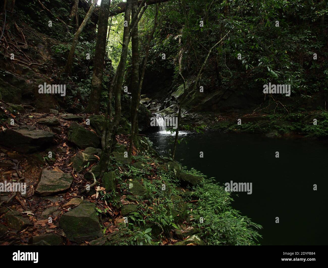 Bach ma national park hi-res stock photography and images - Alamy