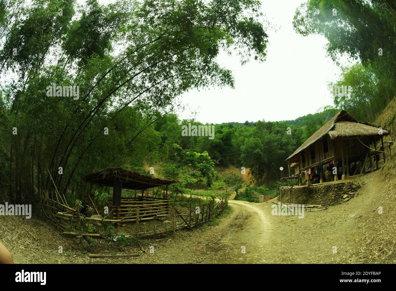 village bamboo trail Stock Photo - Alamy