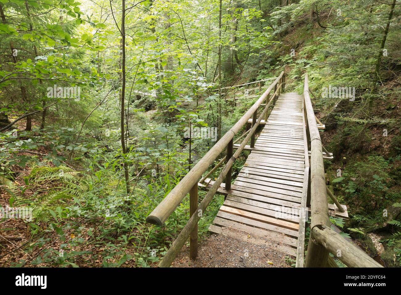 Hiking Path In the Black Forest, Near Todtmoos Stock Photo - Alamy