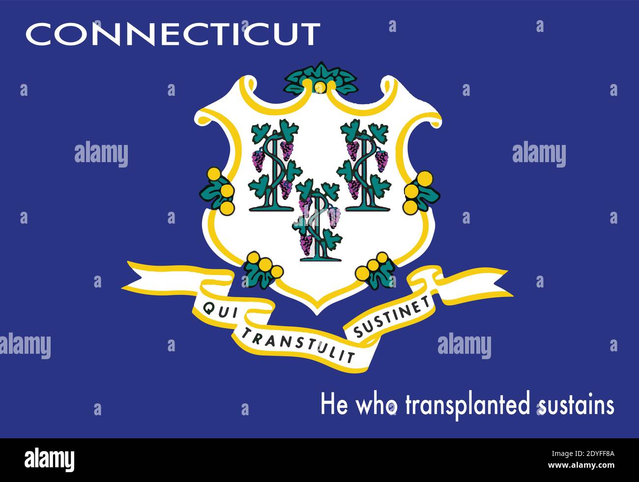 The seal of the USA state of Connecticut over a white background with ...