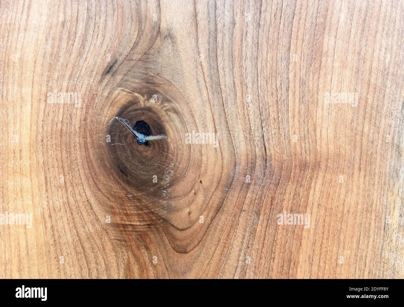 Wood texture with fibers and a large knot. Wooden background Stock ...