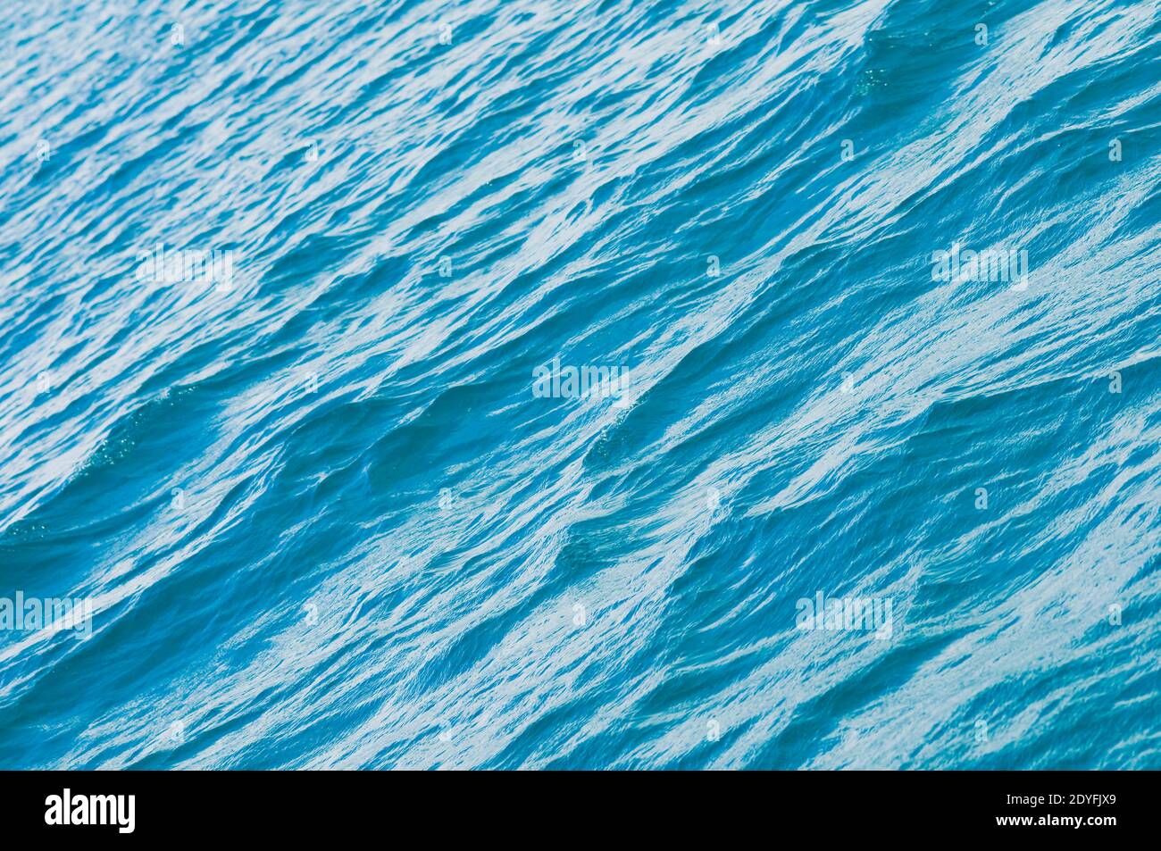 Ocean Surface Texture