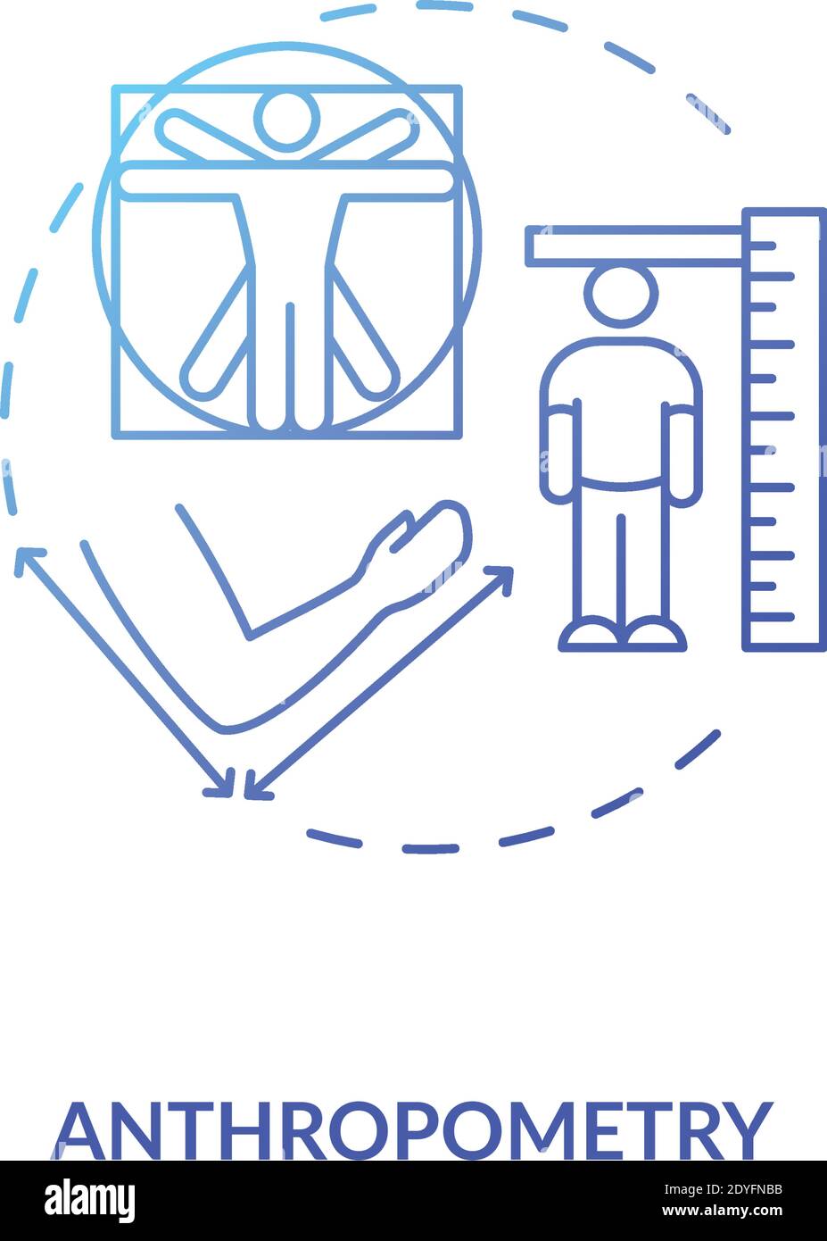 Anthropometry concept icon Stock Vector Image & Art - Alamy