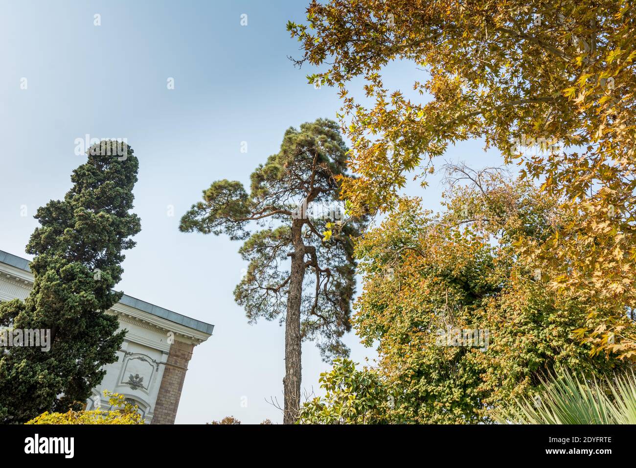 Trees in autaumn at the garden of Golestan Palace inTehran, Iran,which ...