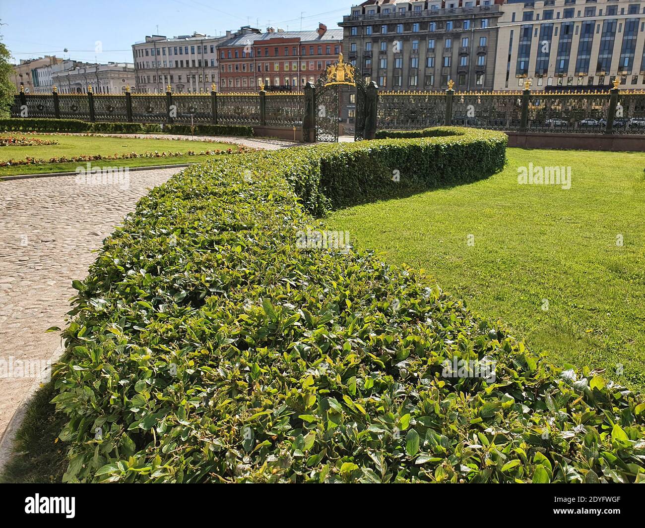 Trimming of green shrubs for landscape design. Exactly trimmed shrub ...