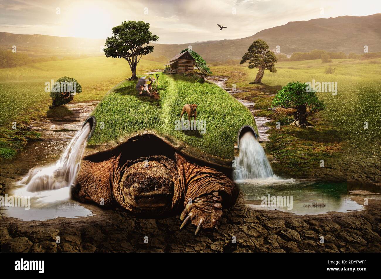 turtle slowly moves along the ground transforming the world around them ...
