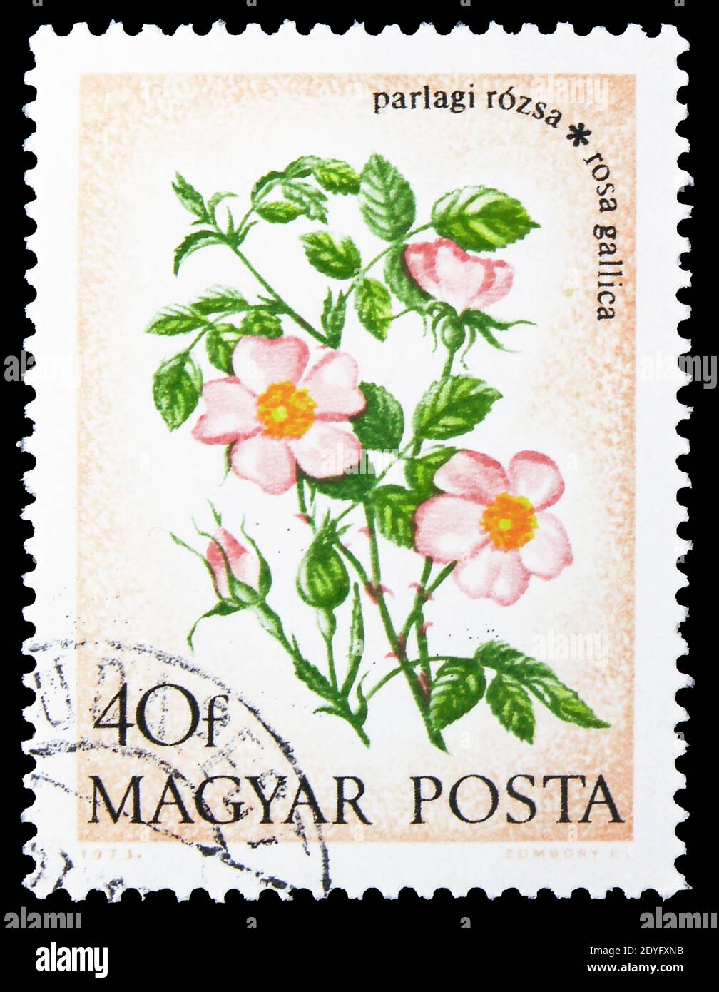 MOSCOW, RUSSIA - JULY 19, 2019: Postage stamp printed in Hungary shows ...