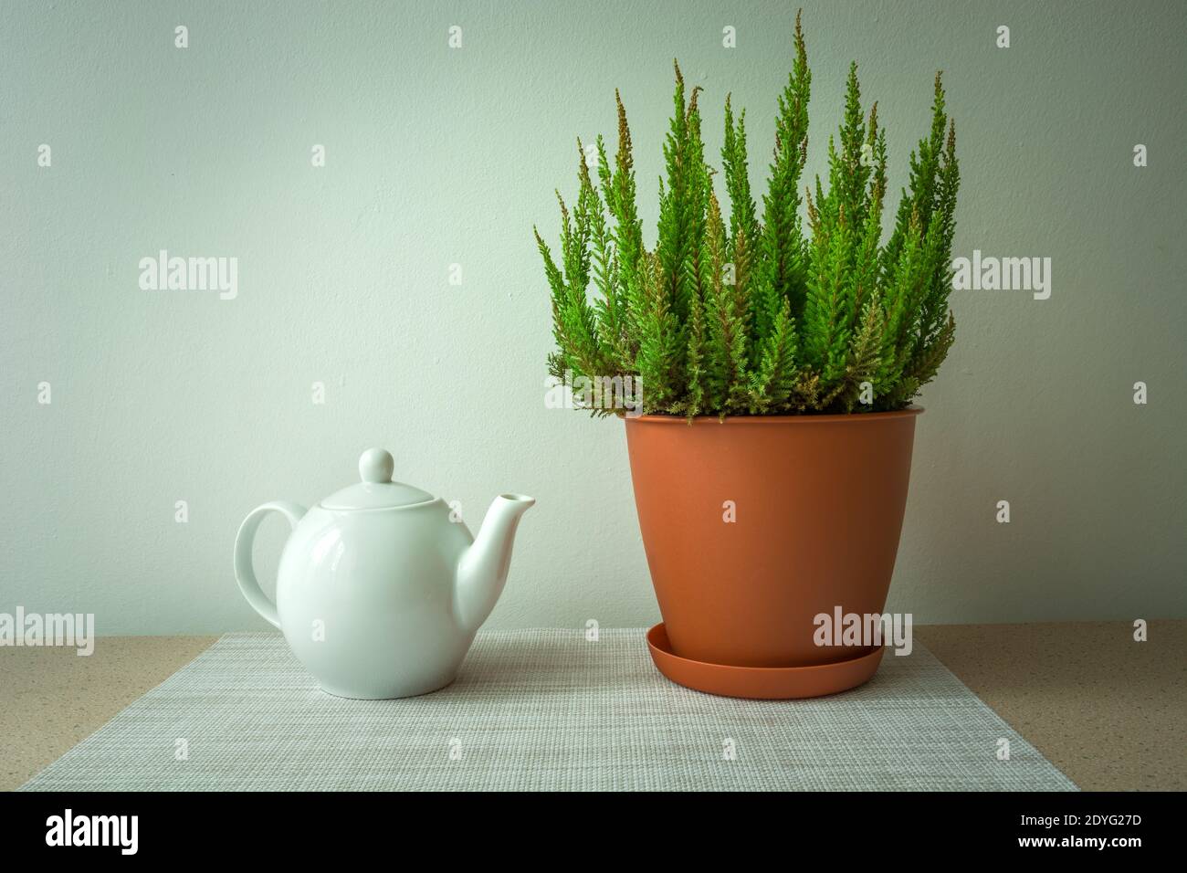 A small white kettle and heather in a brown pot Stock Photo - Alamy