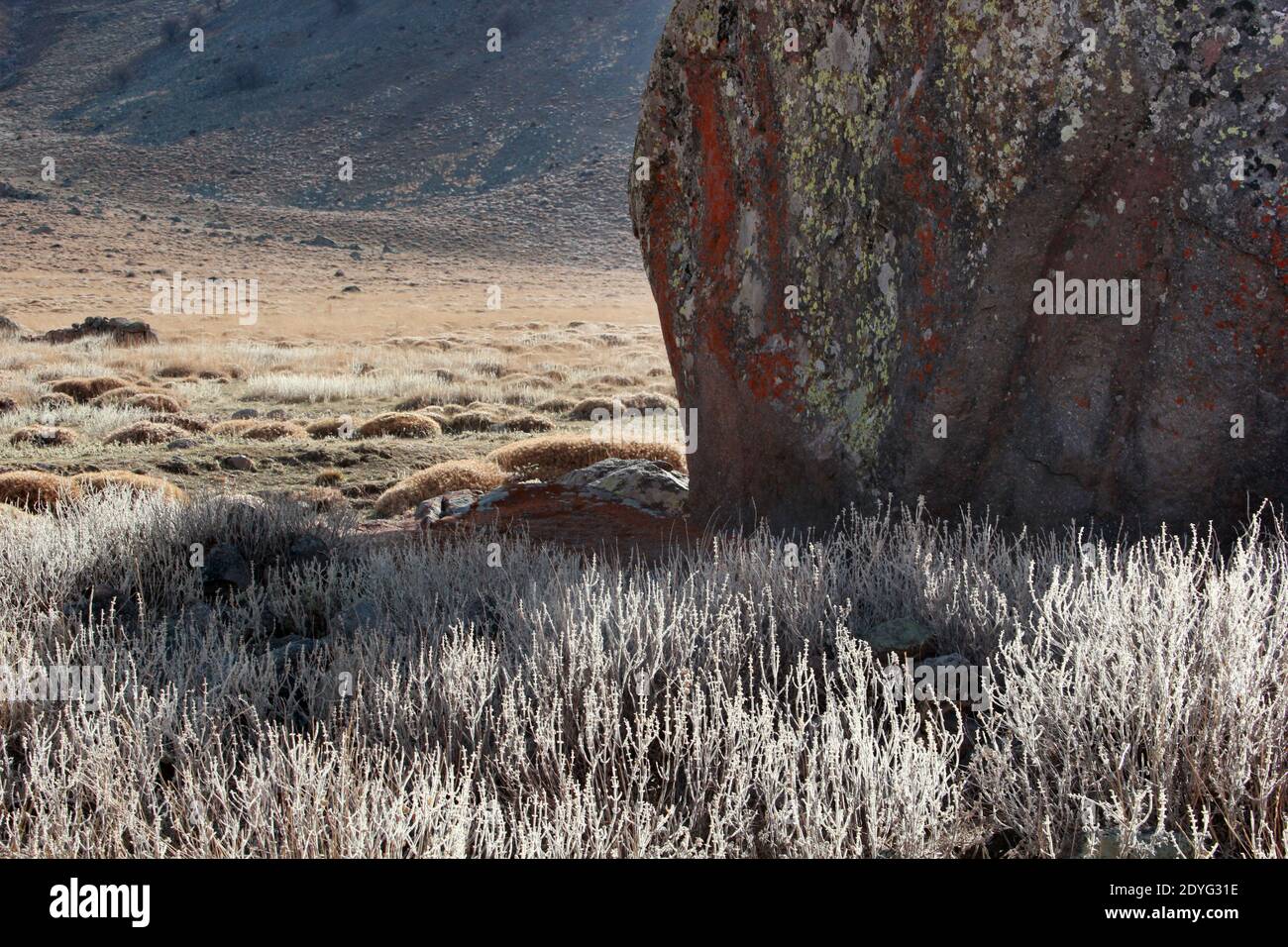 Steppe landscape and big rock. Volcanic trough Stock Photo - Alamy