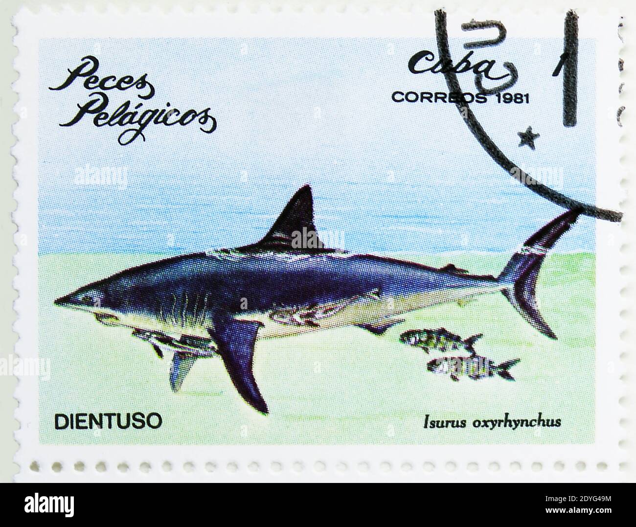 MOSCOW, RUSSIA - JULY 25, 2019: Postage stamp printed in Cuba shows ...