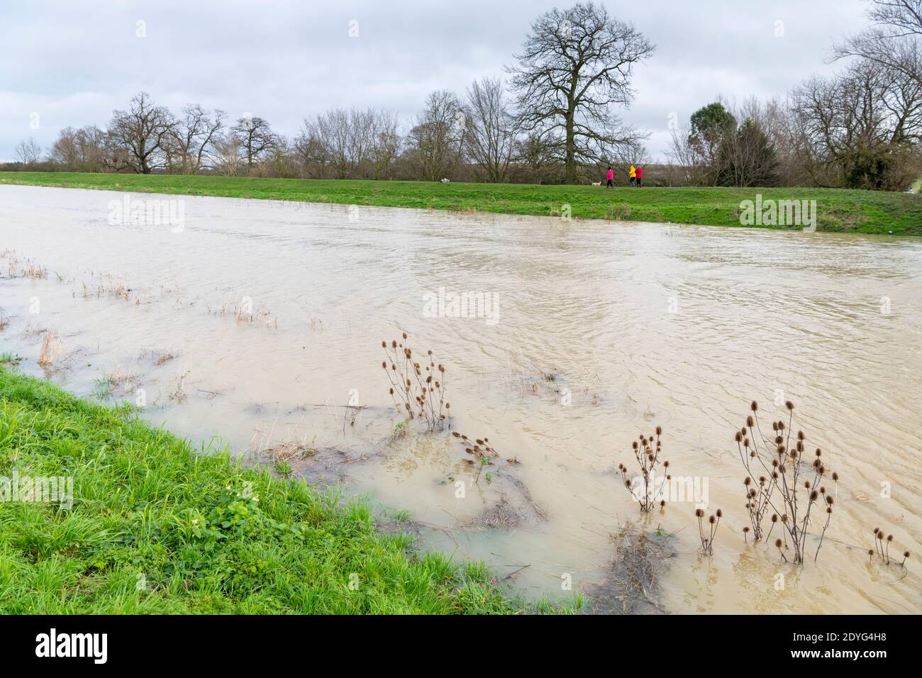 Sutton Gault Cambridgeshire, UK. 26th Dec, 2020. The River Great Ouse ...