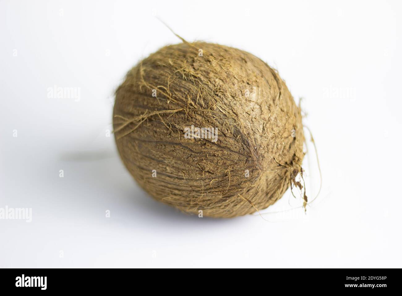 Coconut nut isolated on white background Stock Photo - Alamy