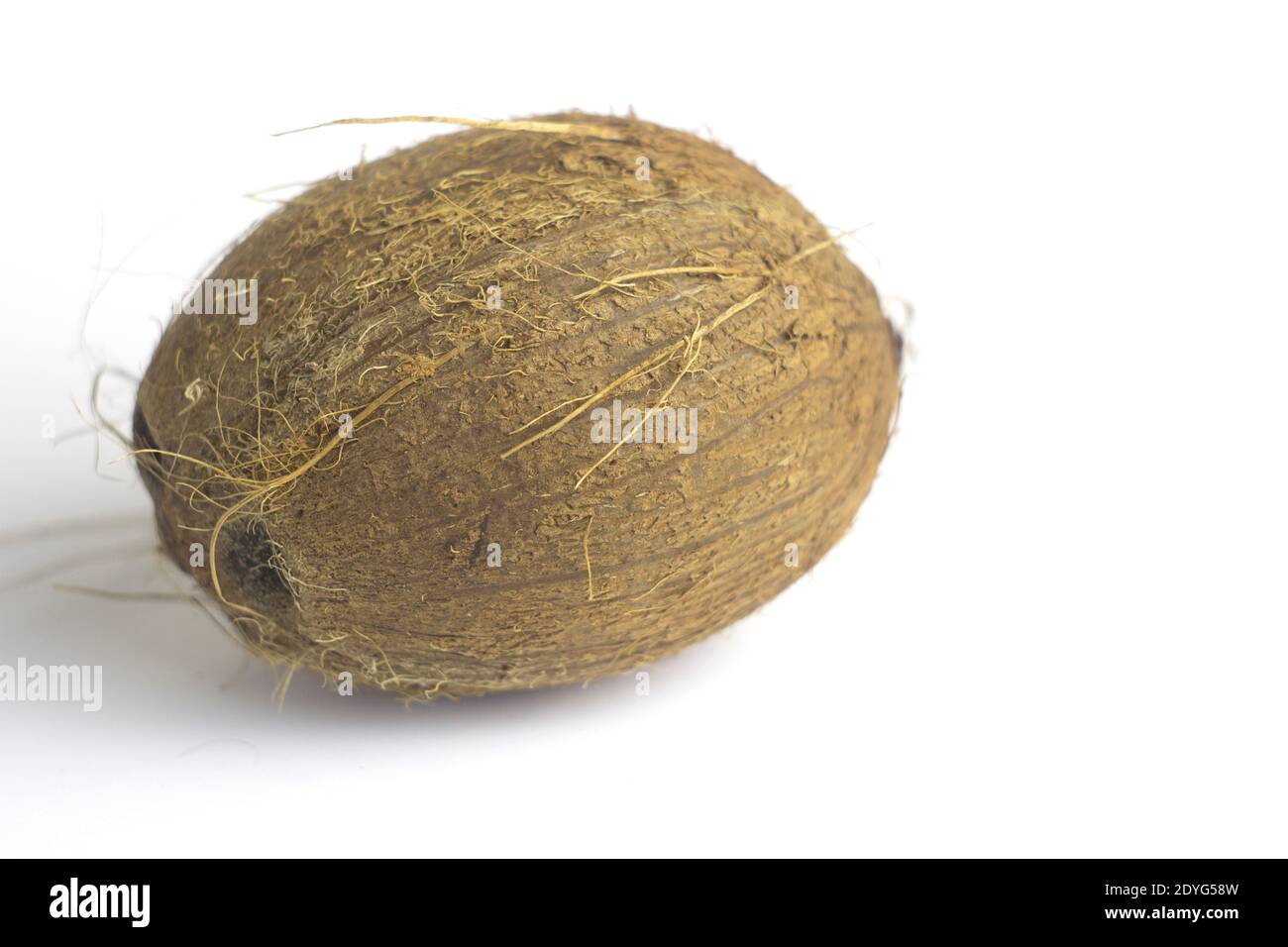 Coconut nut isolated on white background Stock Photo - Alamy