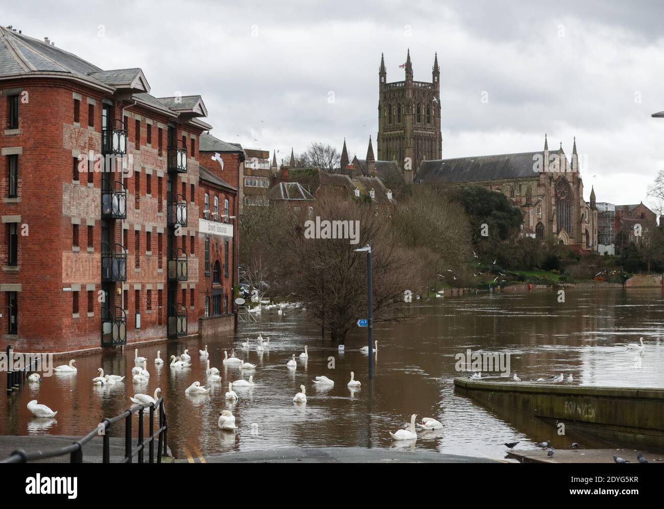Bella worcester hi-res stock photography and images - Alamy