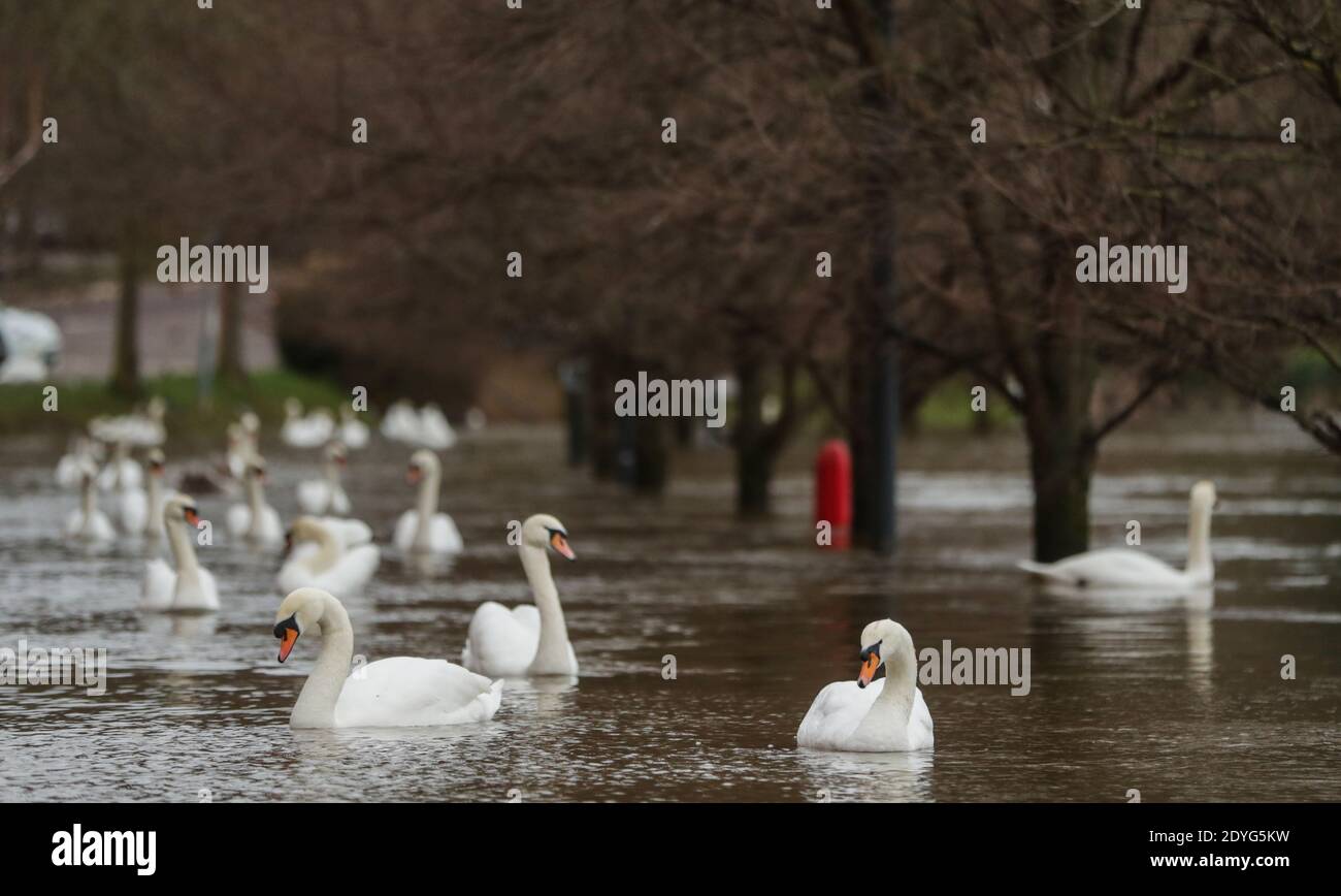 Bella worcester hi-res stock photography and images - Alamy