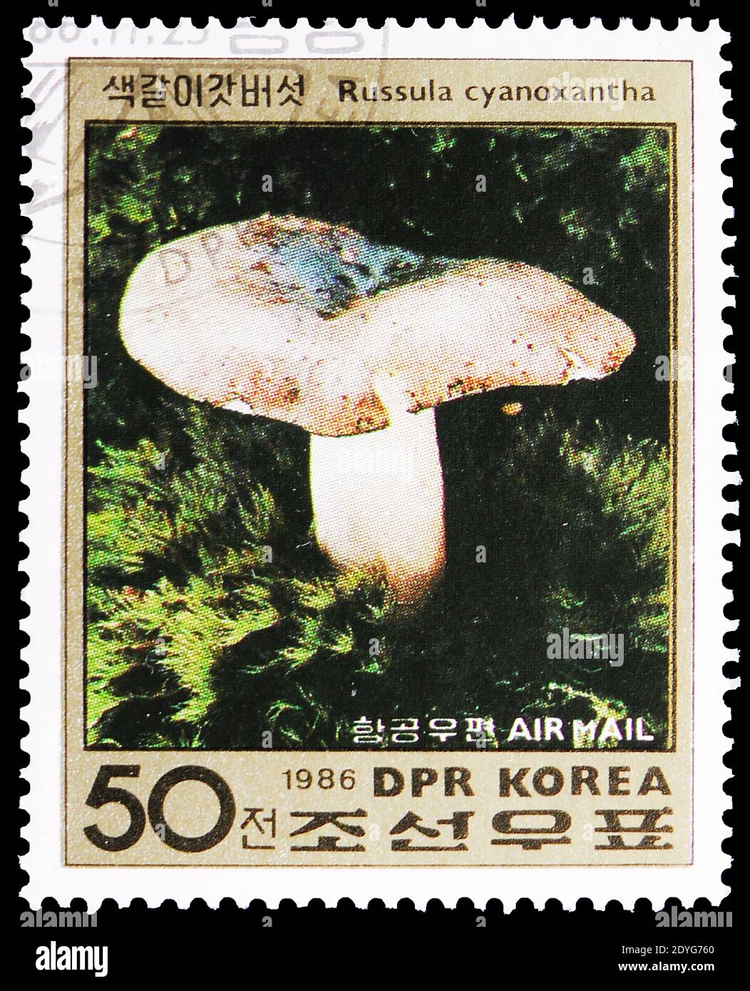 MOSCOW, RUSSIA - AUGUST 6, 2019: Postage stamp printed in Korea shows ...