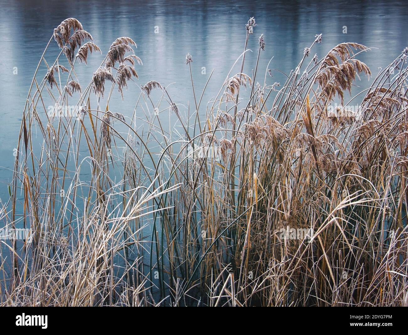 Frosted lake hi-res stock photography and images - Alamy