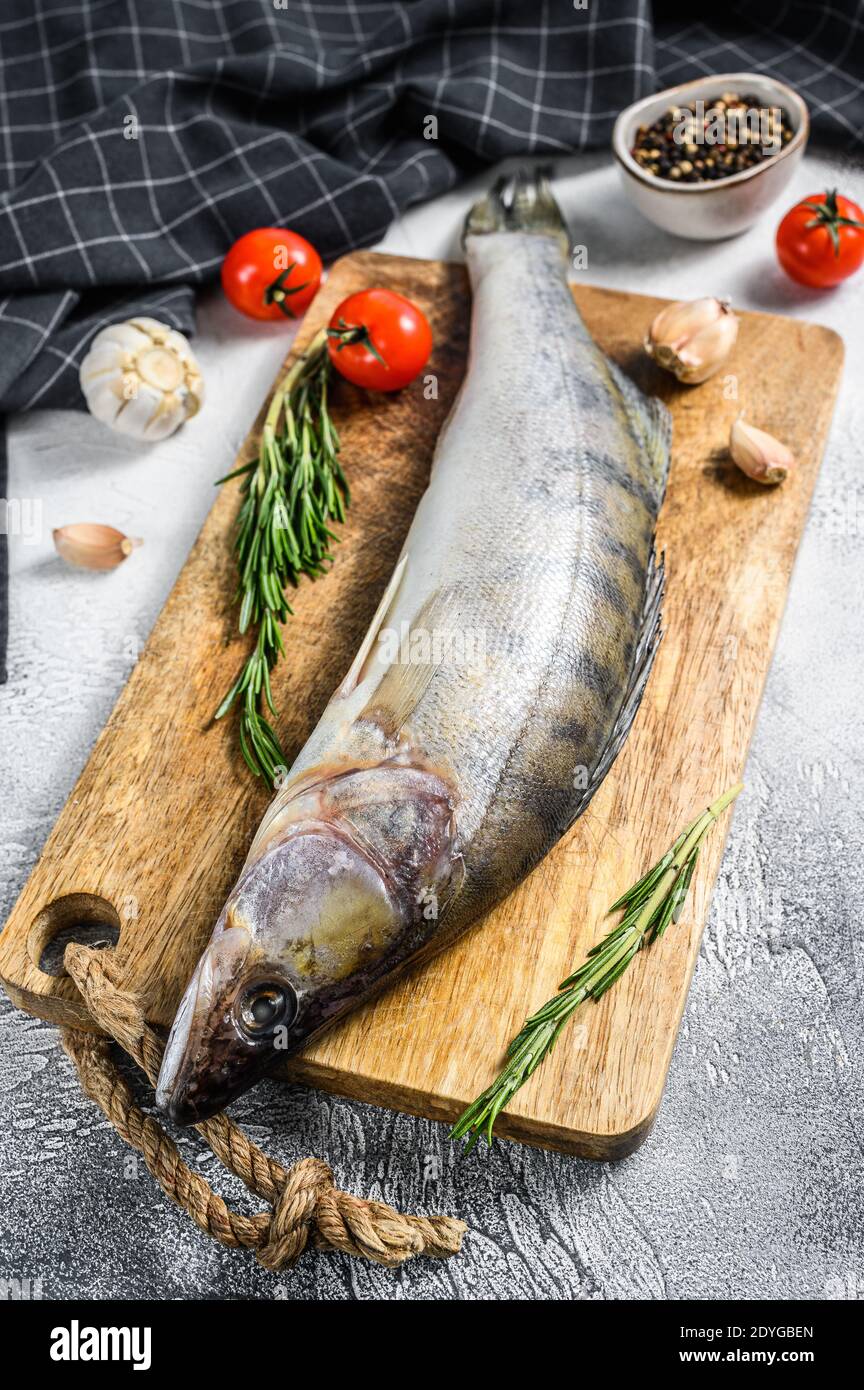 Raw pike perch, pikeperch fish. Fresh fish. Gray background. Top view ...