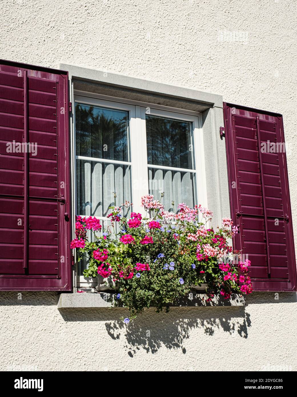 rustic window with red shutters and flower pots , Switzerland Stock ...