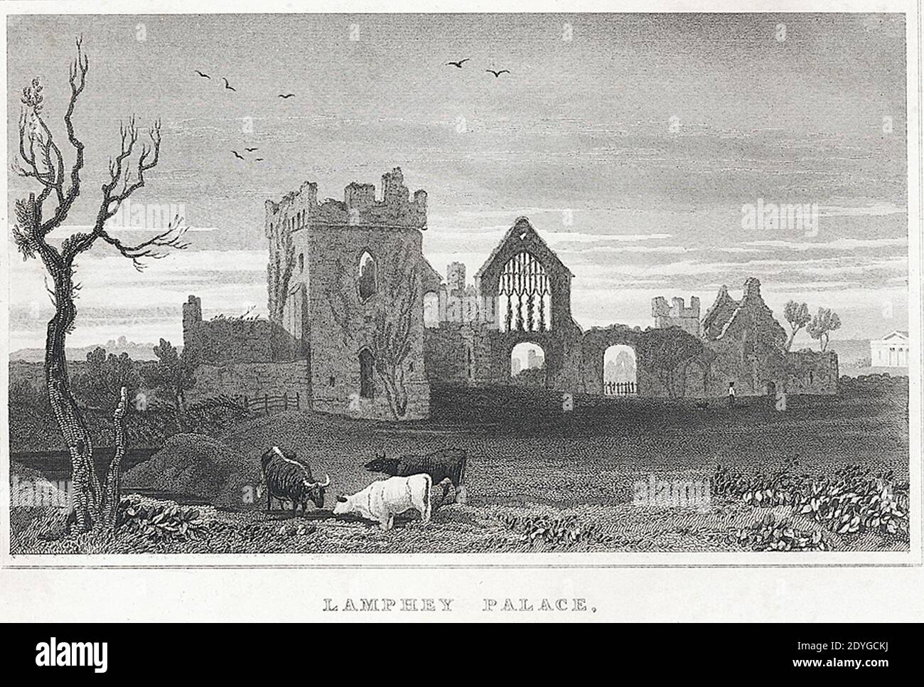 Lamphey Palace High Resolution Stock Photography and Images - Alamy