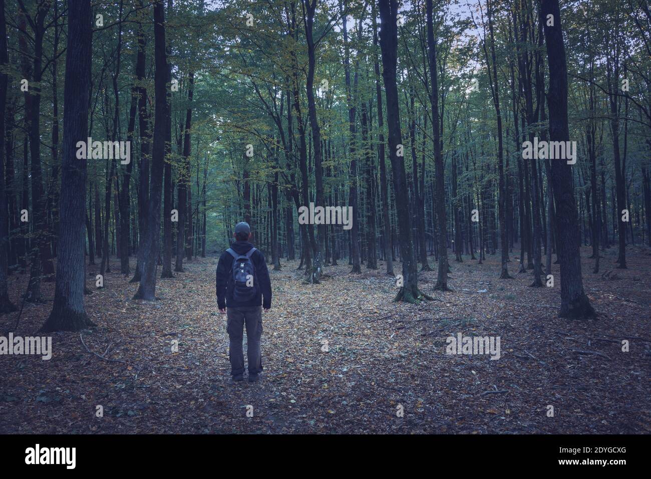 Tall man standing hi-res stock photography and images - Alamy