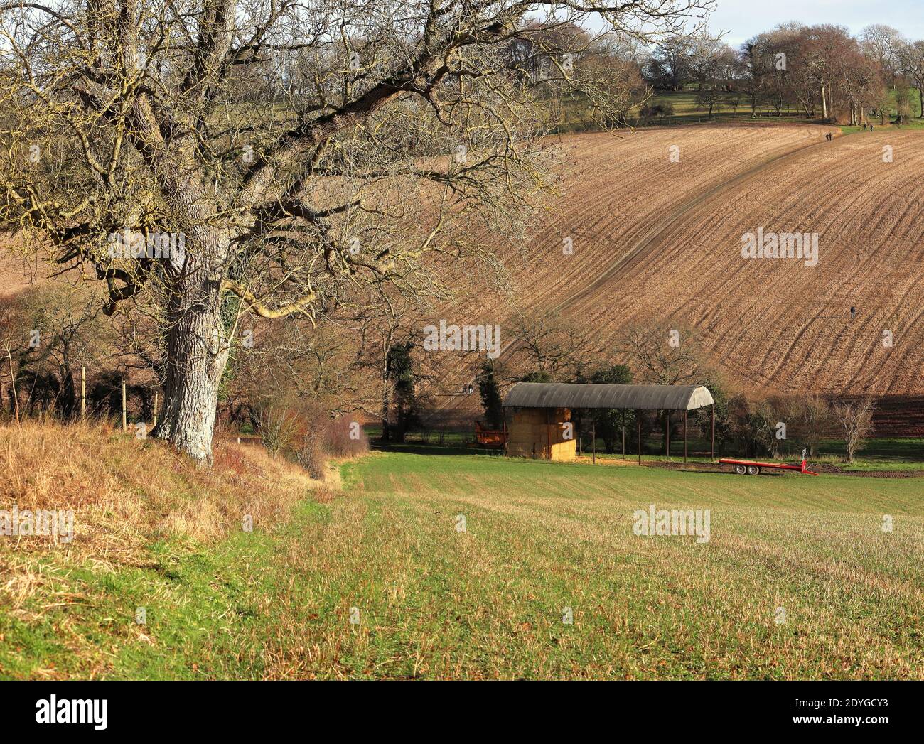An English Rural Landscape in the Chiltern Hills with Barn in the ...
