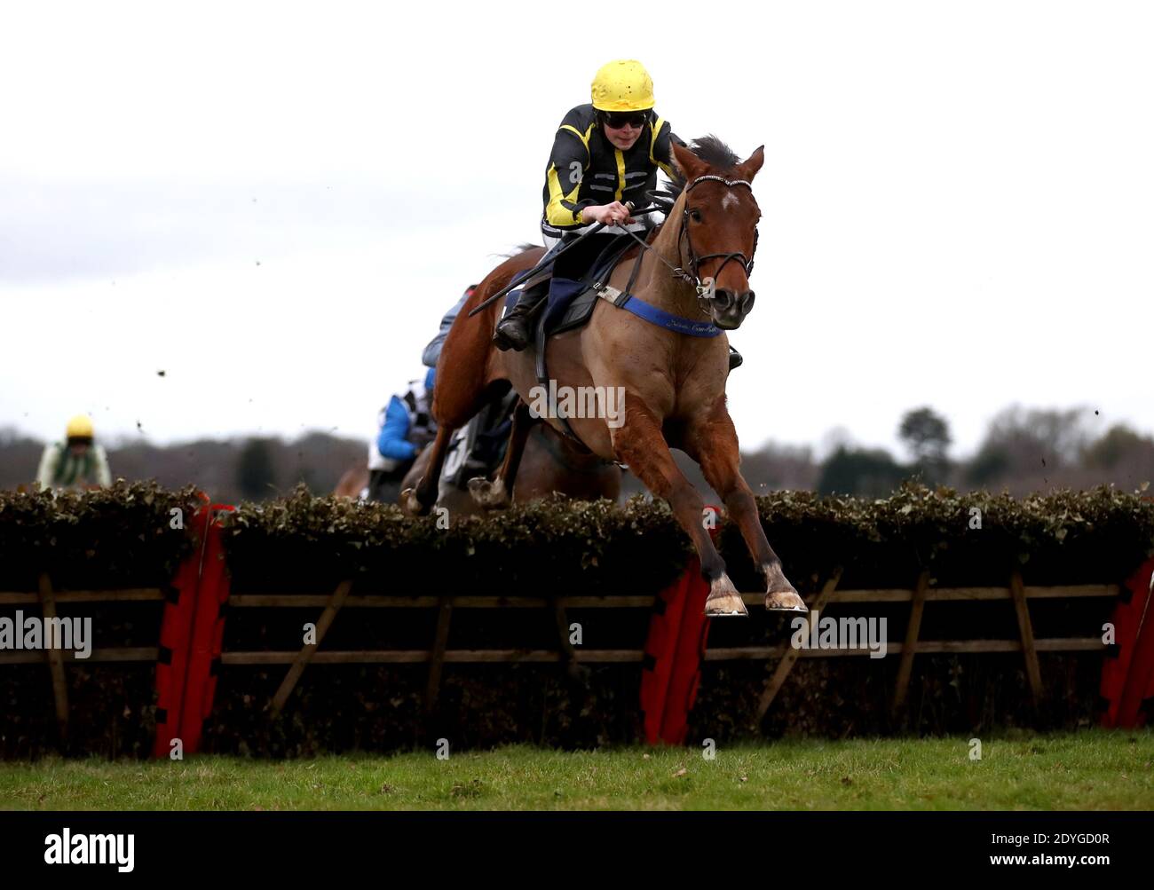 Lilly pinchin hi-res stock photography and images - Alamy