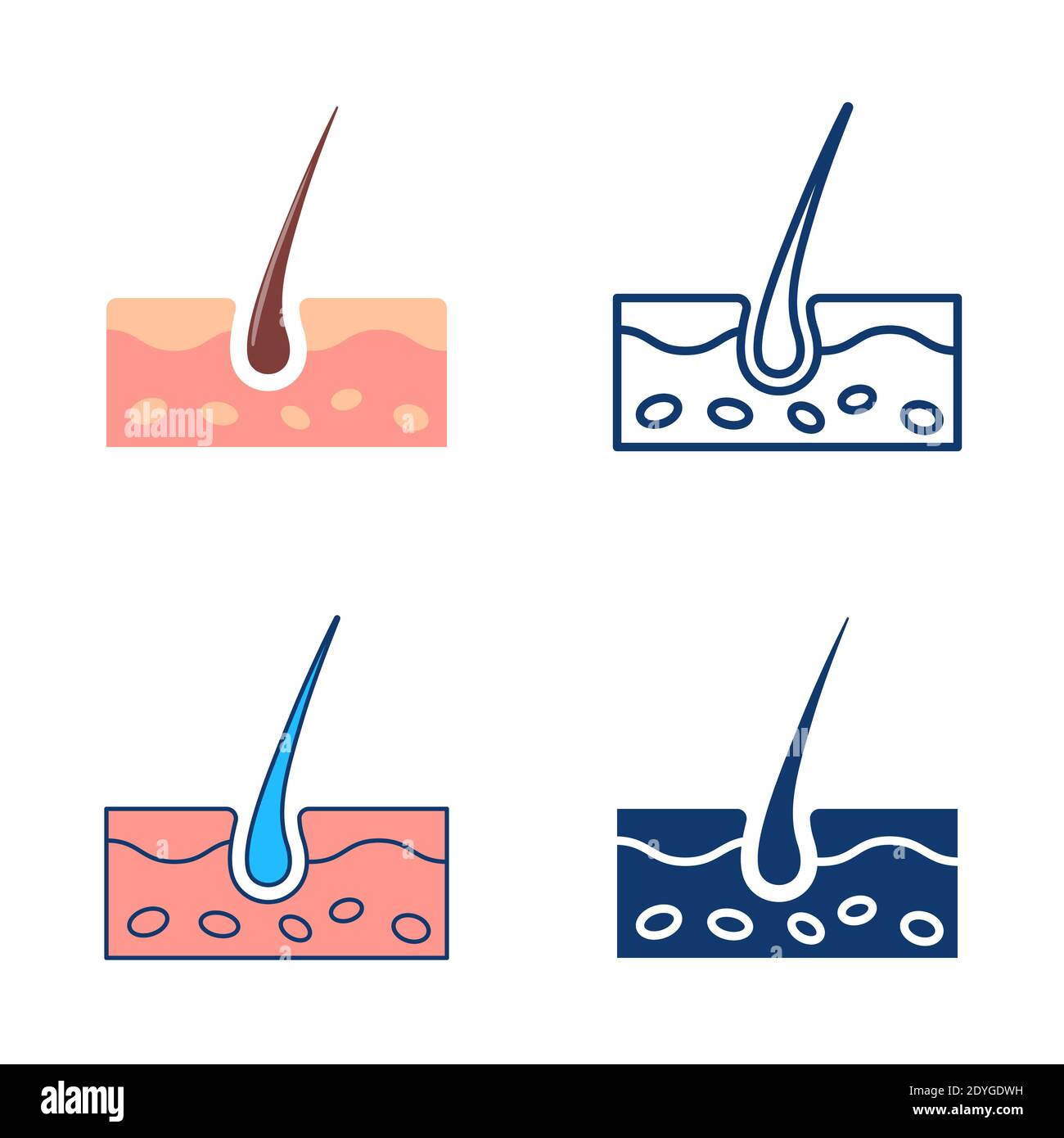 Skin icon set in flat and line style. Human skin and hair anatomy ...