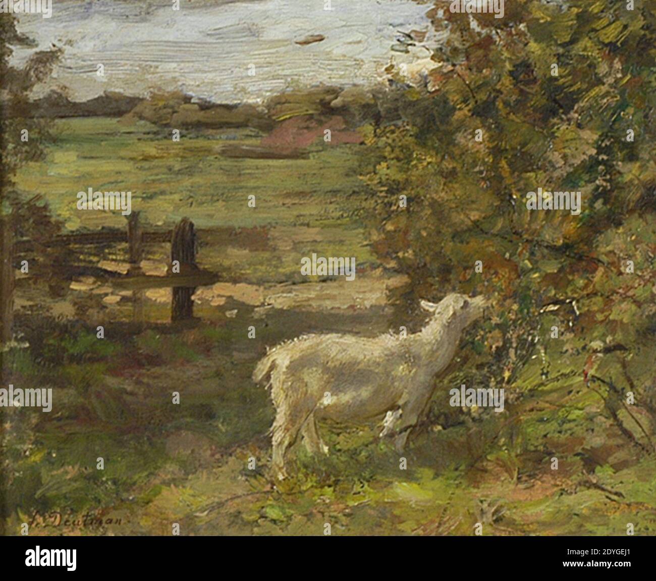 Deutmann hi-res stock photography and images - Alamy