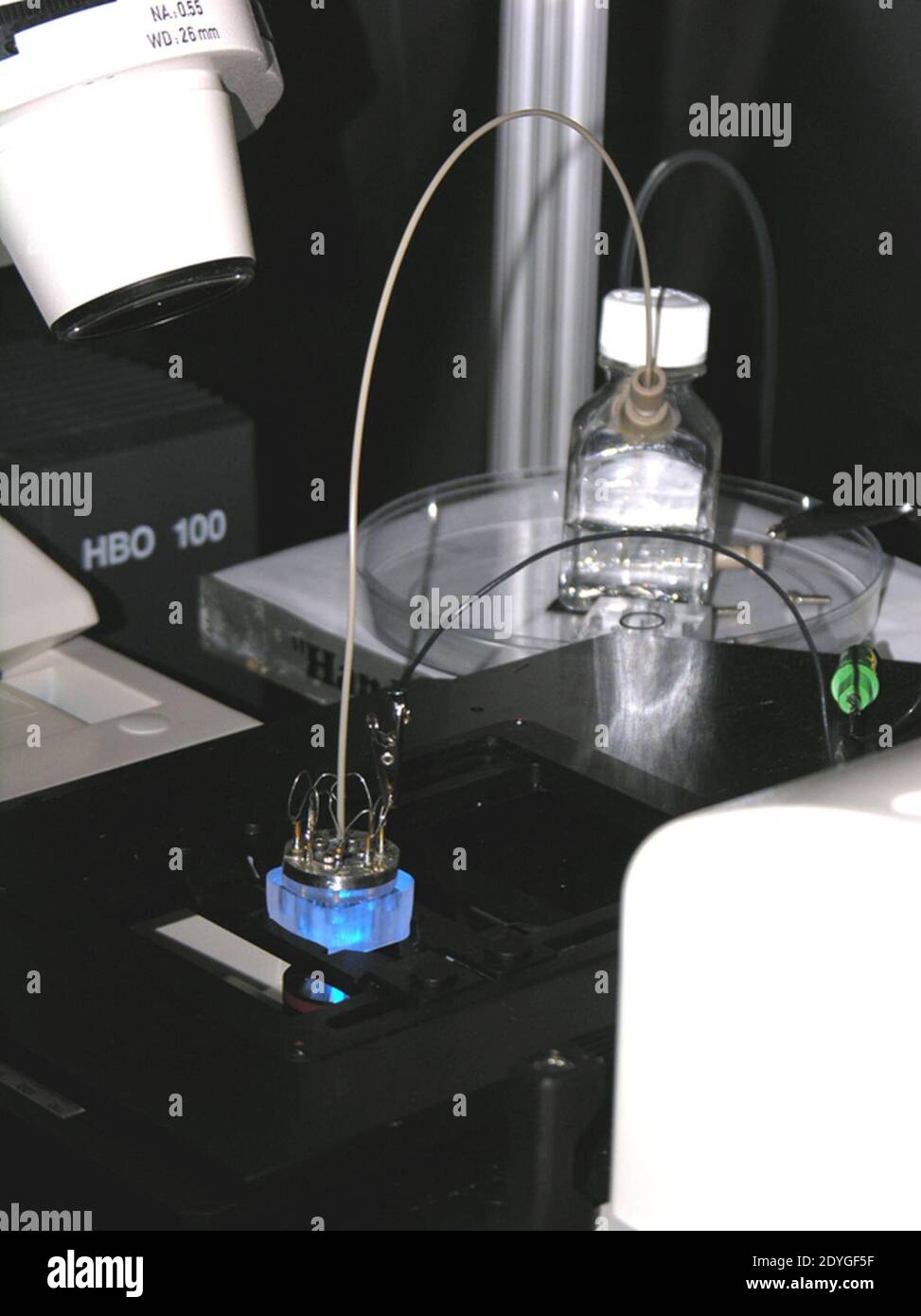 Lab on a chip hi-res stock photography and images - Alamy