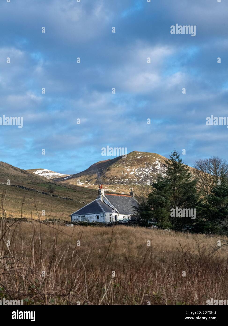 A cottage in rural Scotland Stock Photo - Alamy