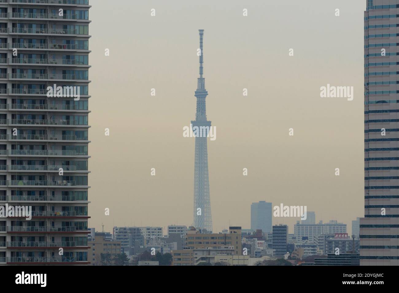 Buildings near to a lake and Tokyo Skytree in Tokyo, Japan Stock Photo ...