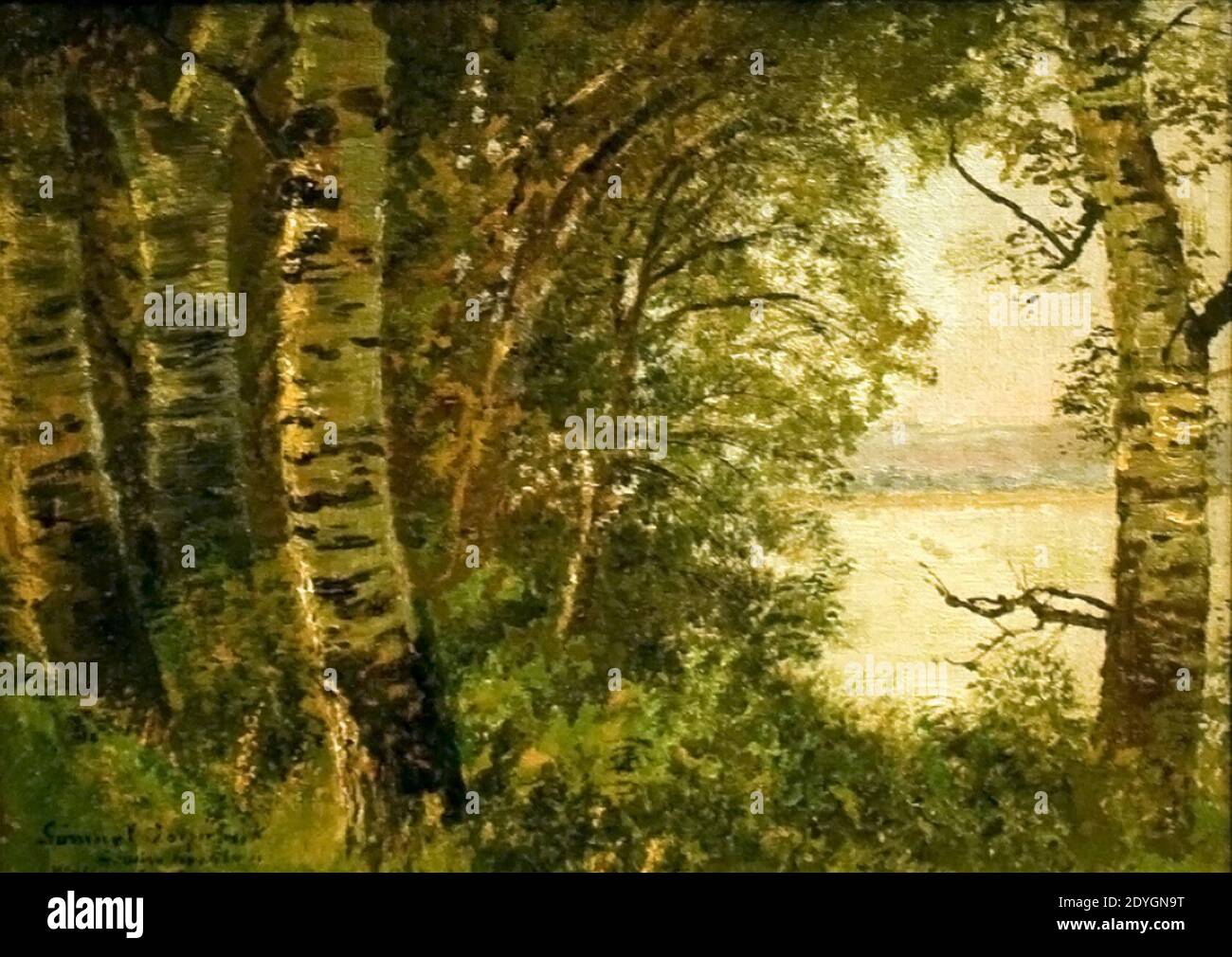 Lakeside View with Trees Stock Photo - Alamy