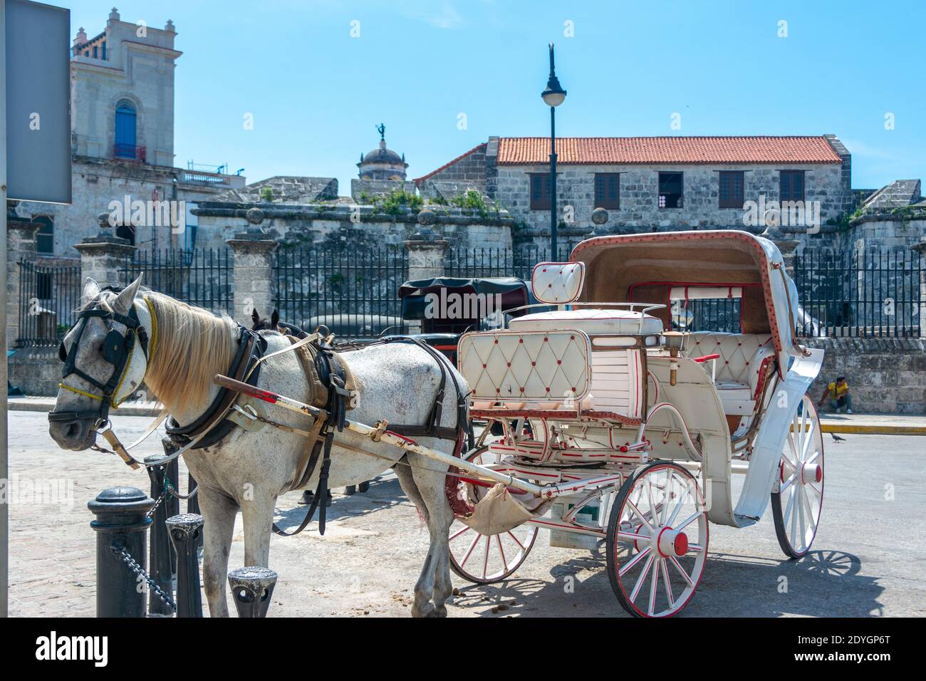 A white horse with carriage in Old Havana, Cuba Stock Photo - Alamy